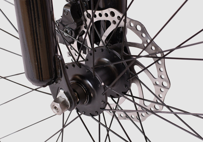 Buy Shaft Drive Single Speed Cycles Online – Steedcycles