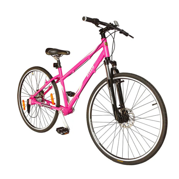 Buy Best Three Speed Bicycle For Women Online – Steedcycles