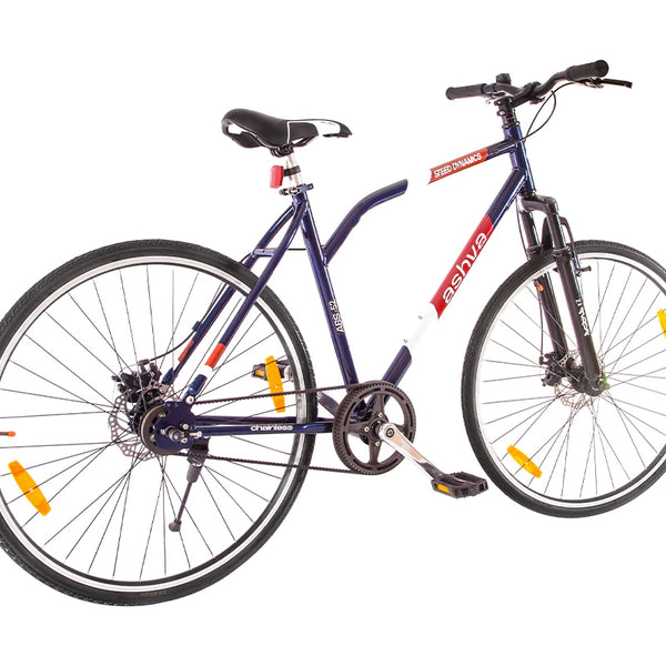 Buy Steed ABS 52 Single Speed Bike Online – Steedcycles