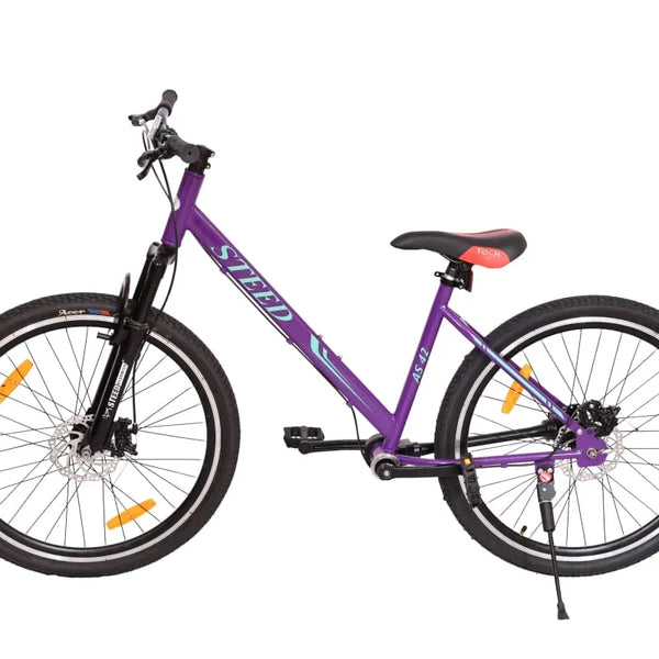 Buy Steed AS 42 Single Speed Bicycle Online – Steedcycles